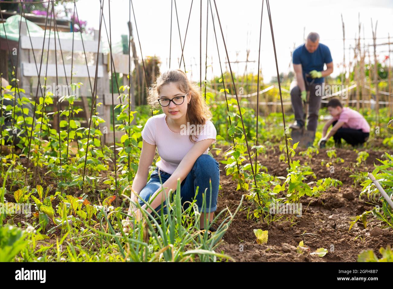 Teen girl helping family in vegetable garden Stock Photo - Alamy