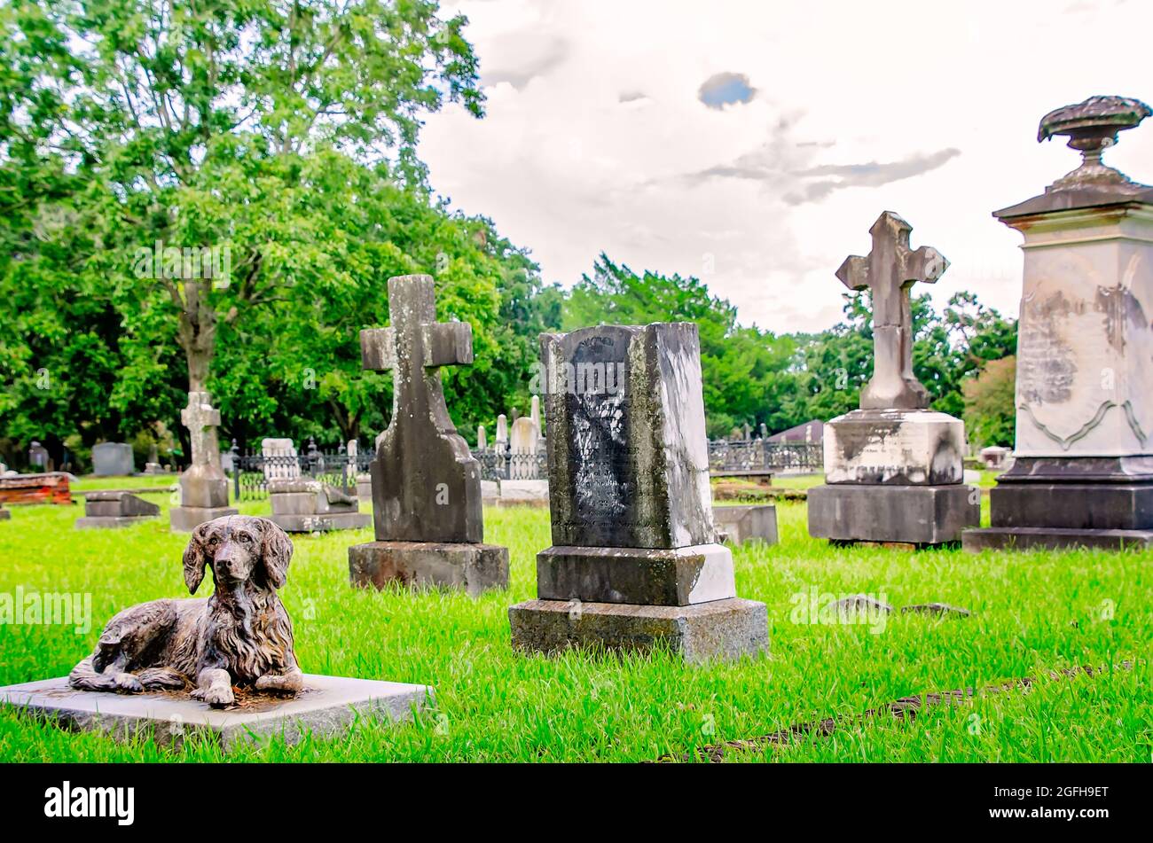 A dog statue lays at the foot of four children’s graves in the Nott ...