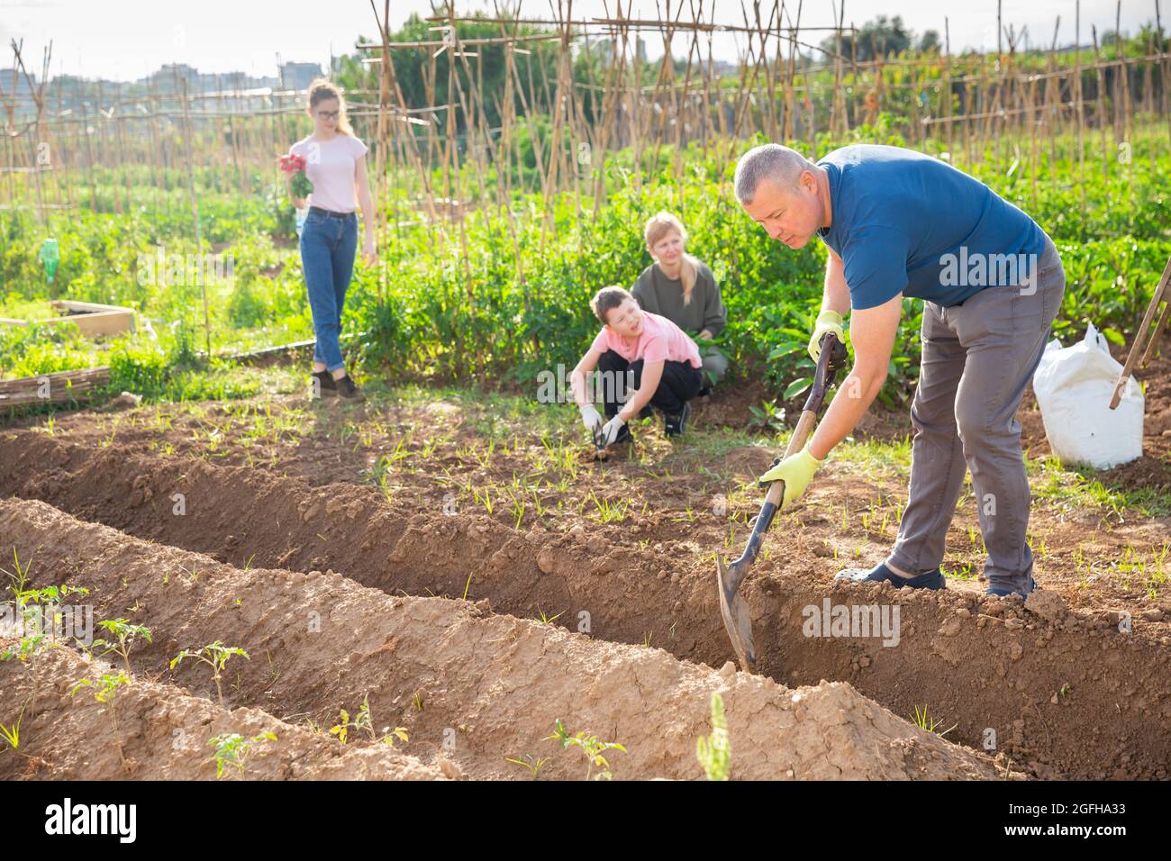 Man gardener digging soil in vegetable garden Stock Photo - Alamy