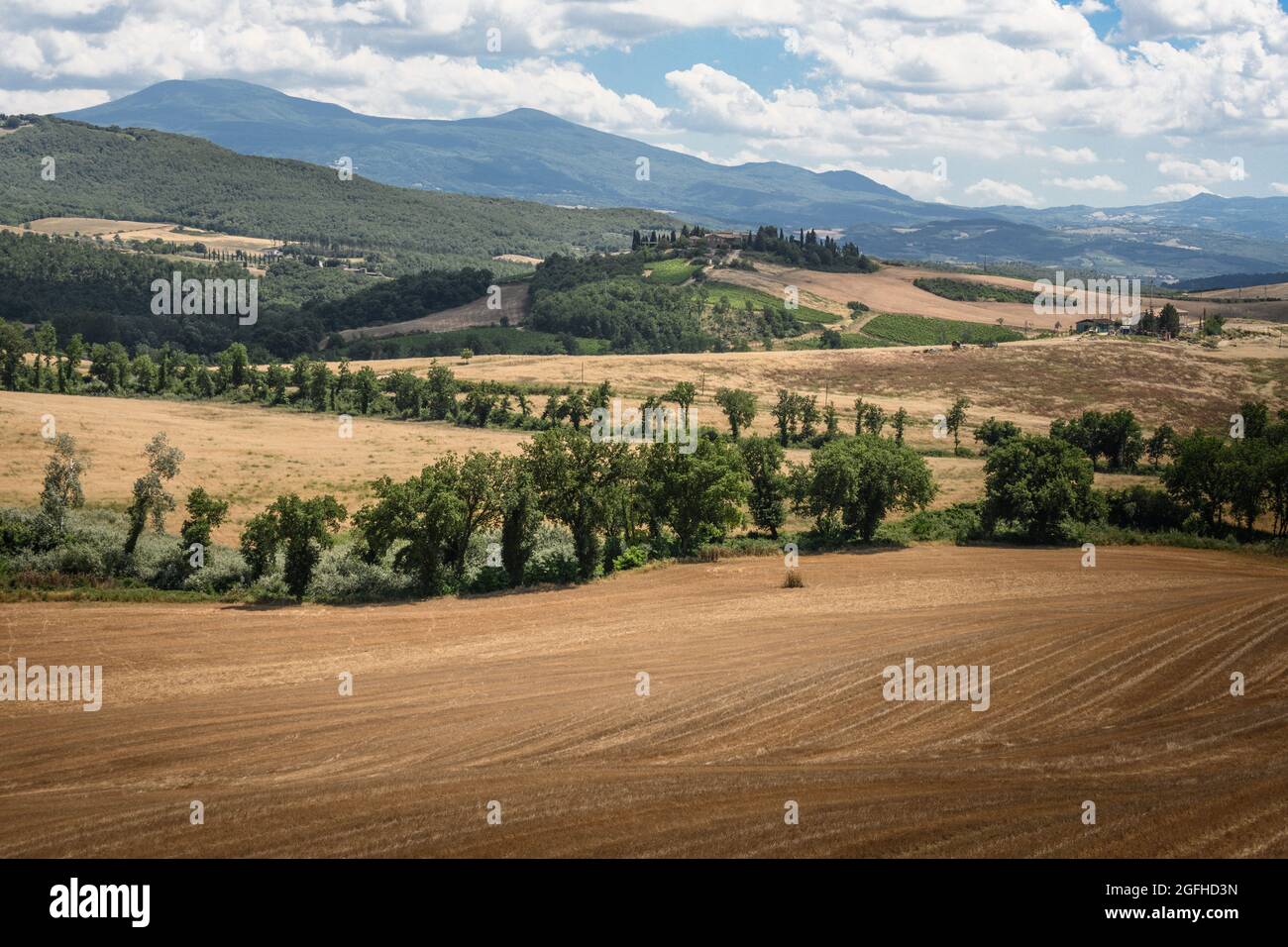 Typical Tuscan Landscape in the Val d'Orcia Stock Photo - Alamy