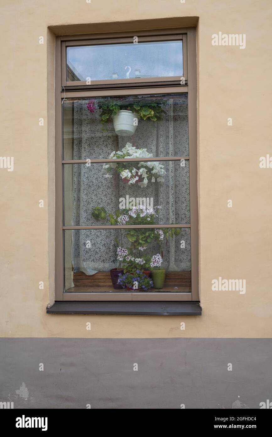 Inside of window hi-res stock photography and images - Alamy