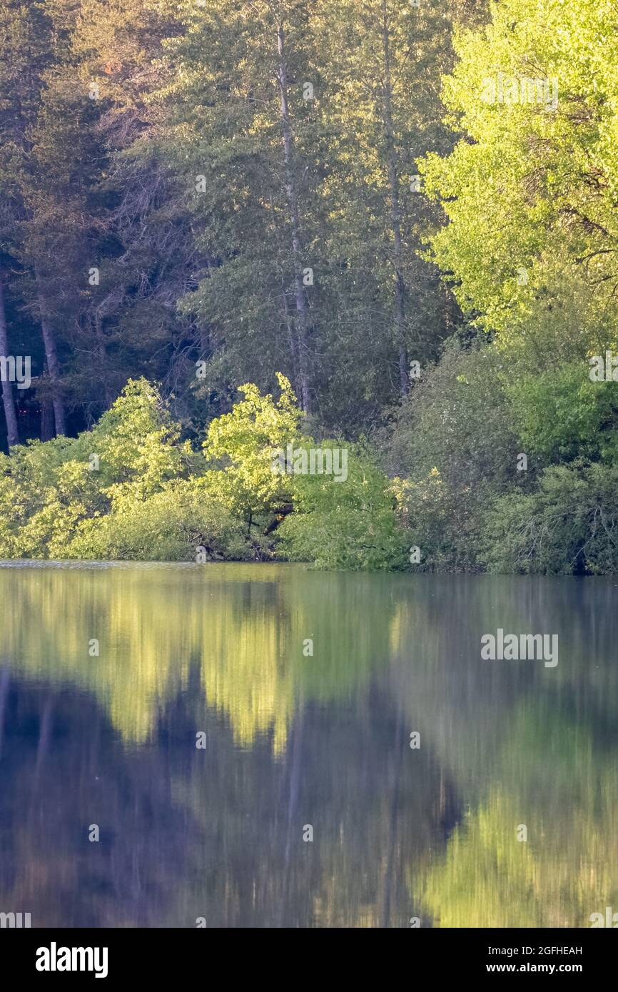 Streaming water journey through wilderness hi-res stock photography and ...