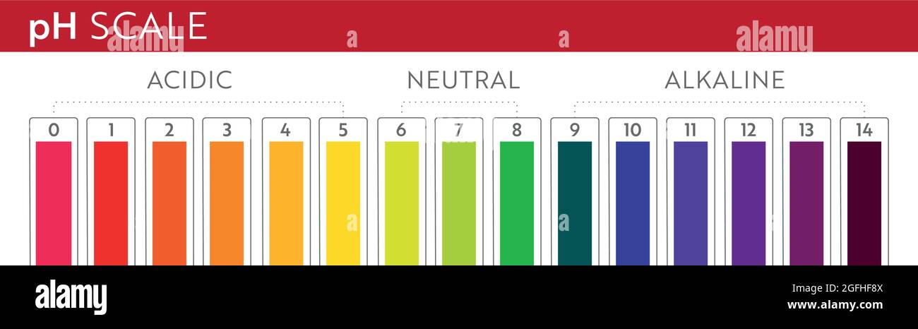 pH Value scale chart. Acid-base balance infographic. Education Poster Stock Vector Image & Art ...