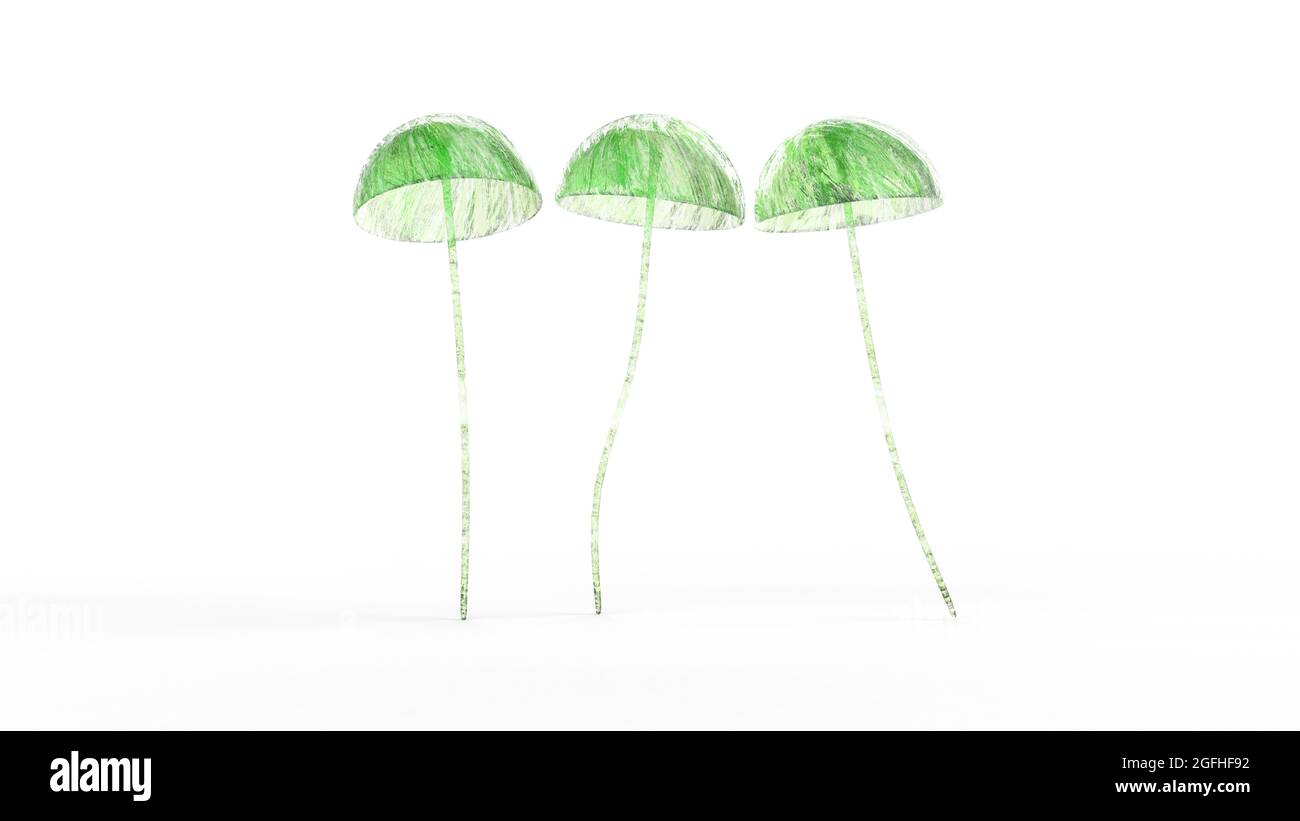 Mushroom forest autumn dark Cut Out Stock Images & Pictures - Alamy