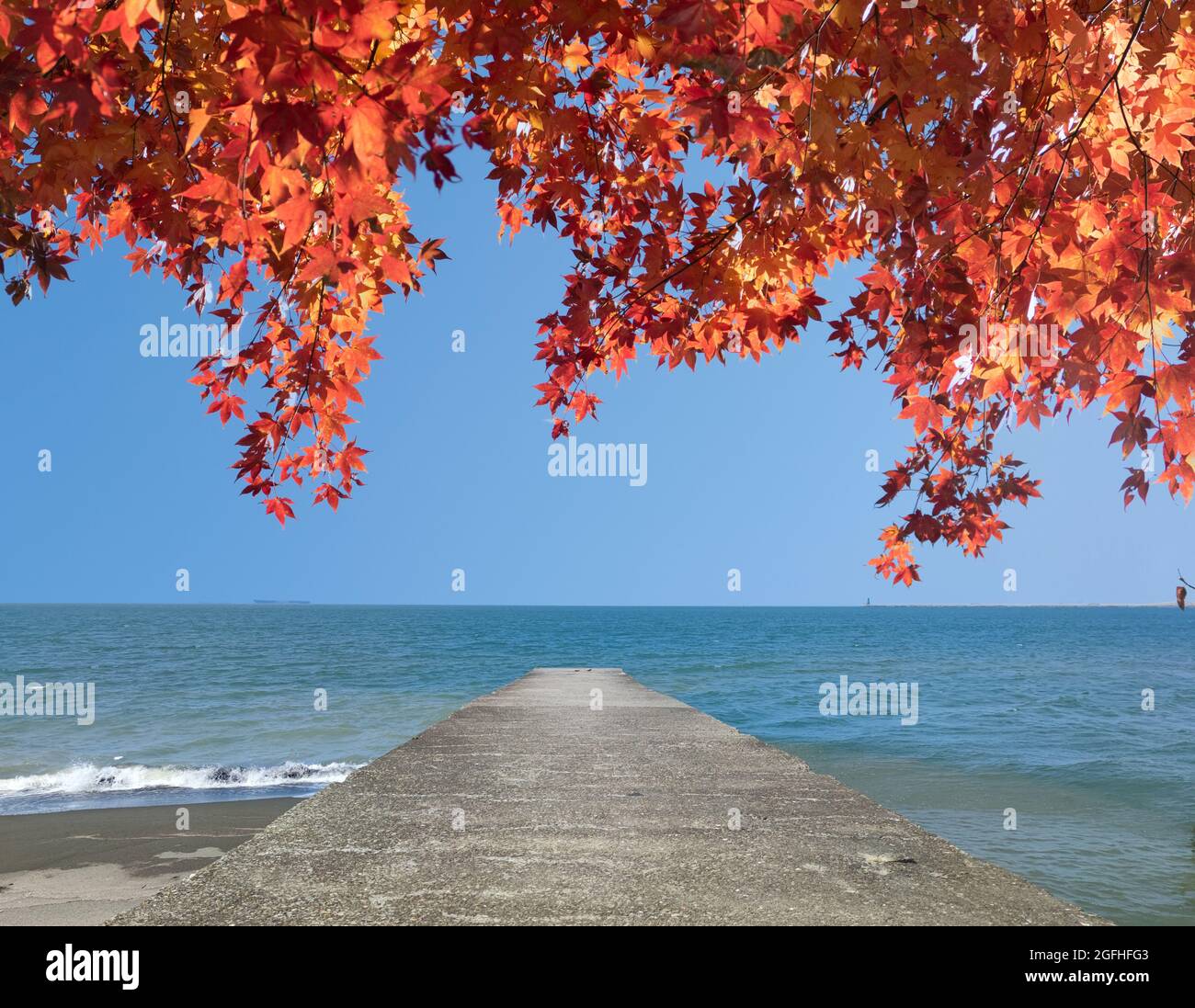The path to nice sea beach in sunset sunshine with beautiful sky Stock ...