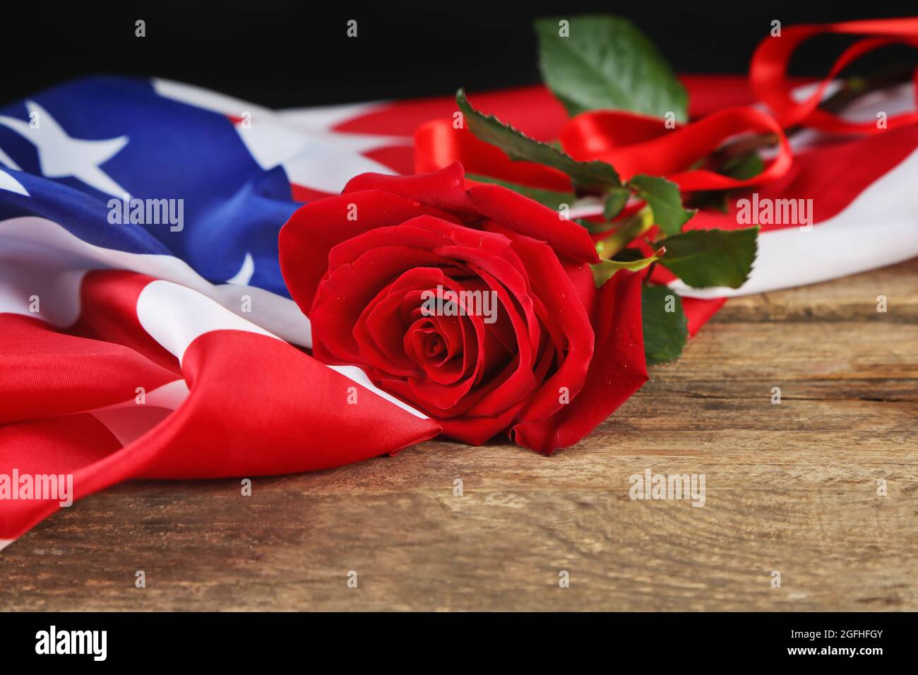 Red rose on American flag, closeup Stock Photo - Alamy