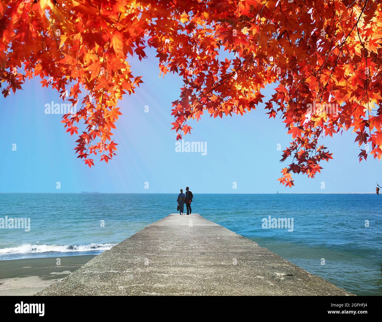 The path to nice sea beach in sunset sunshine with beautiful sky Stock ...