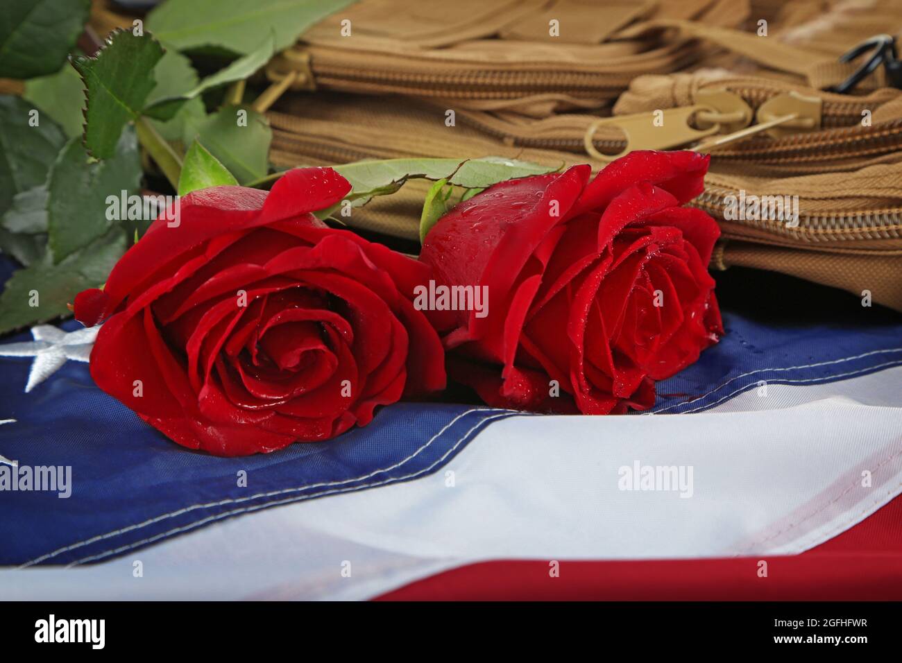 Red roses on American flag with military backpack, closeup Stock Photo ...