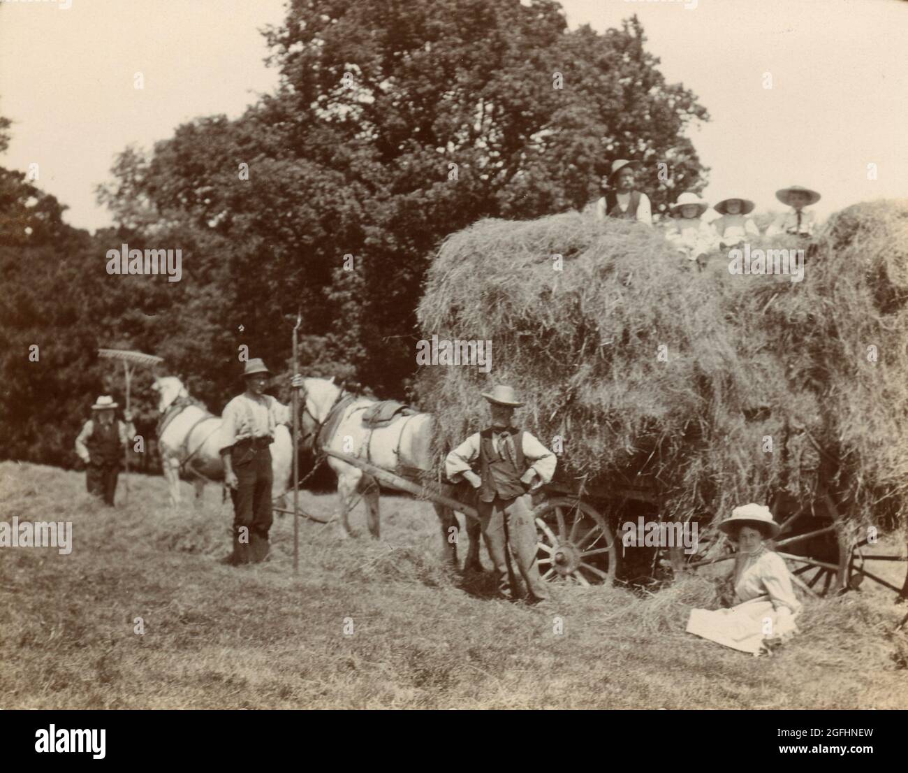 Photo with the farmers during harvesting, Italy 1908 Stock Photo - Alamy