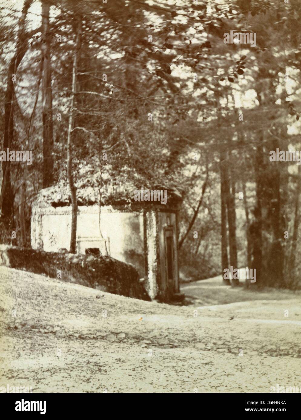 Small house in the forest, Spain 1908 Stock Photo - Alamy
