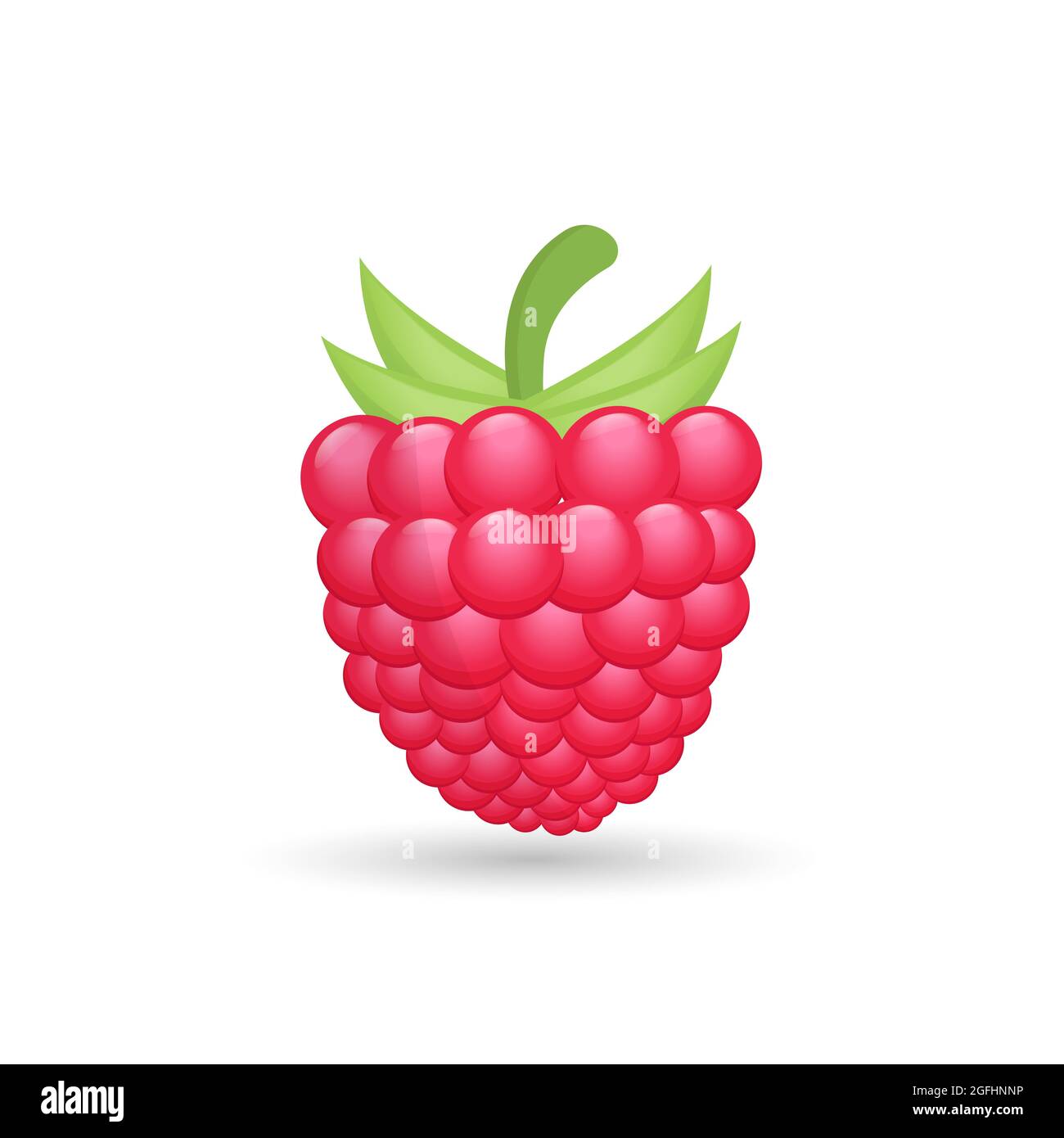 raspberry fruit realistic vector illustration, raspberry isolated ...