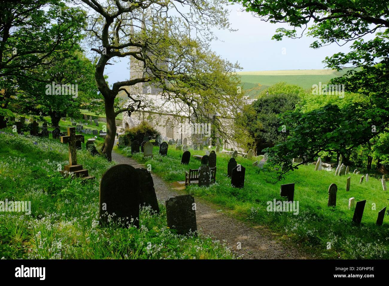 Church, graveyard and white spring flowers at Morwenstow, Cornwall ...