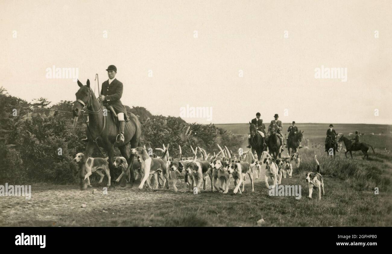 Horse riders with dogs pack fox hunting, UK 1908 Stock Photo - Alamy