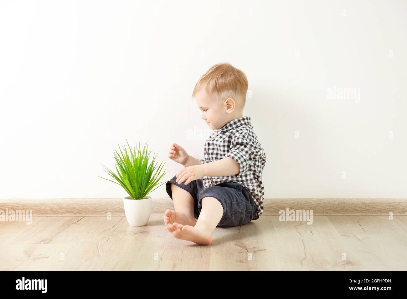 Fashionably dressed little boy with a flower in a pot sitting on a ...