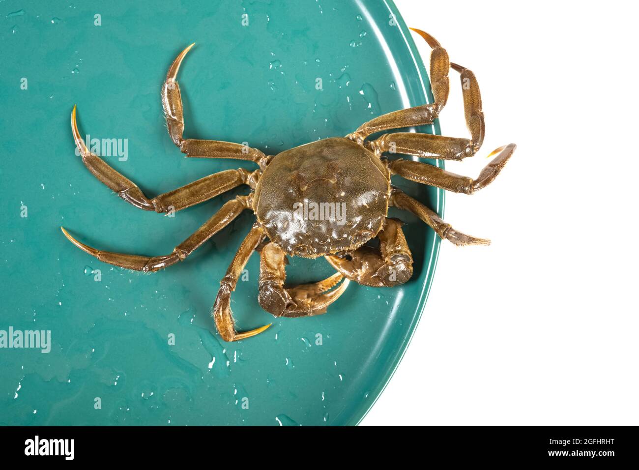 top view alive crab running out from a dish Stock Photo - Alamy