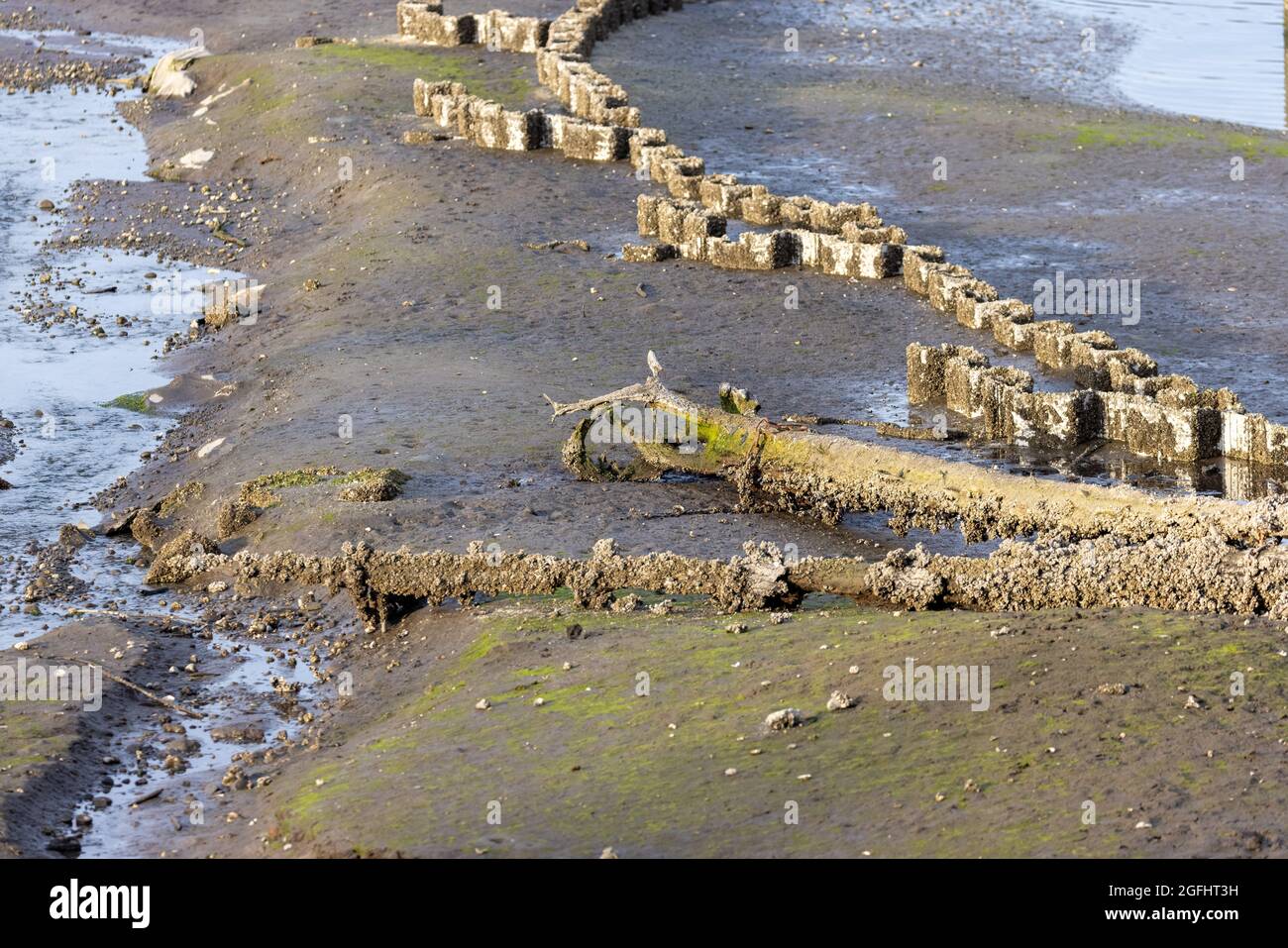 Sunken Bed High Resolution Stock Photography and Images - Alamy