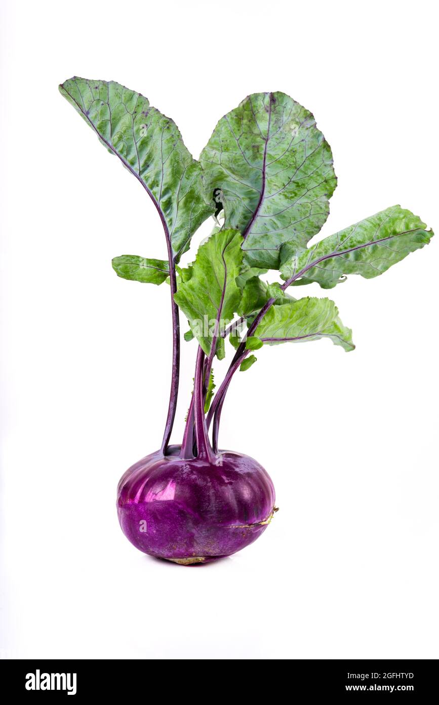 Fresh red kohlrabi isolated on white background. Healthy food Stock ...