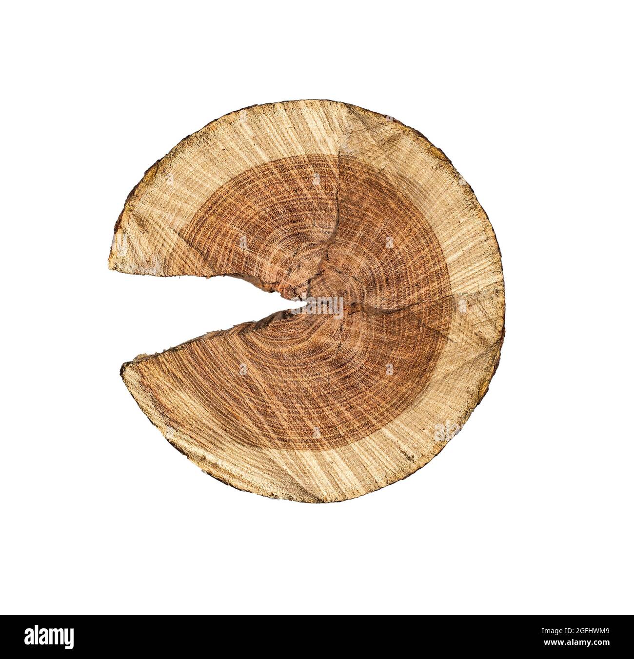 Wooden stump Isolated on white background. With clipping path Stock ...