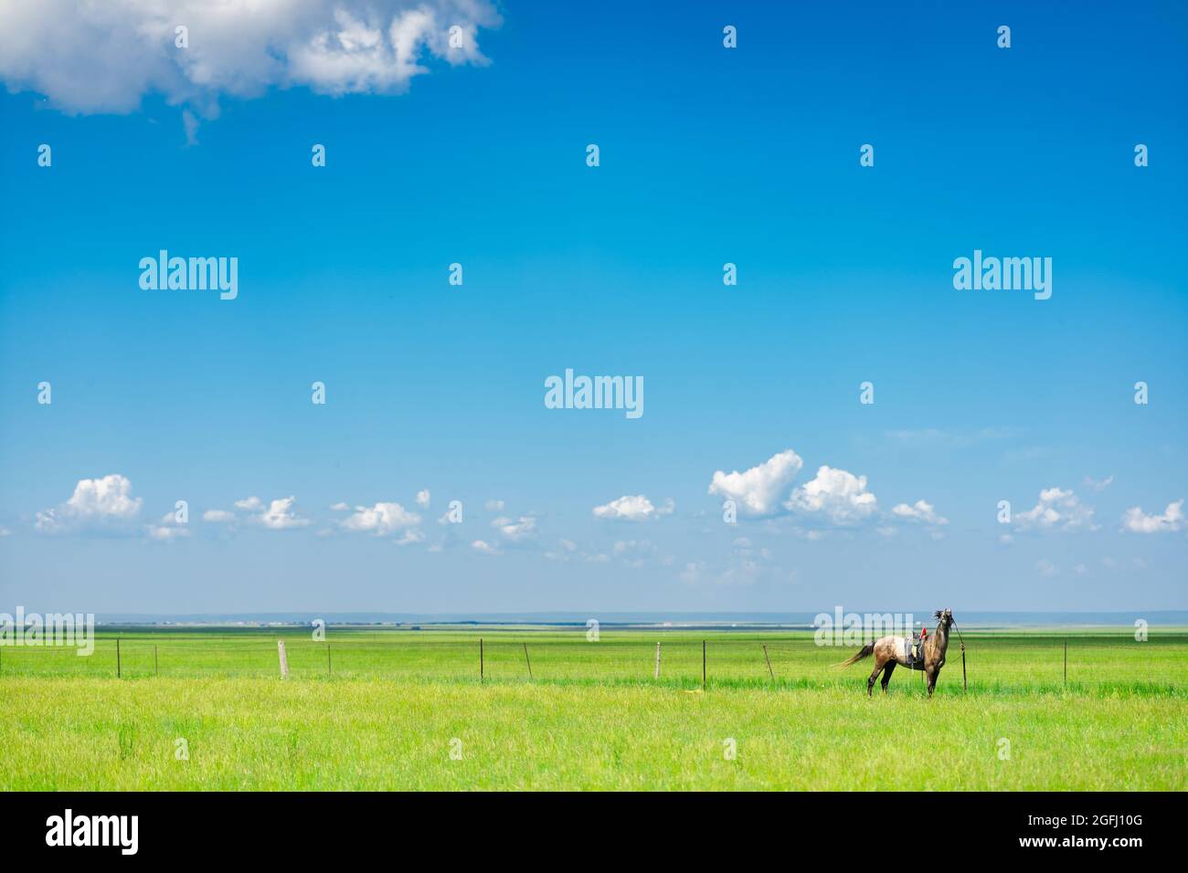 A Mongolian farm in the Hulunbuir grassland, Inner Mongolia, China ...
