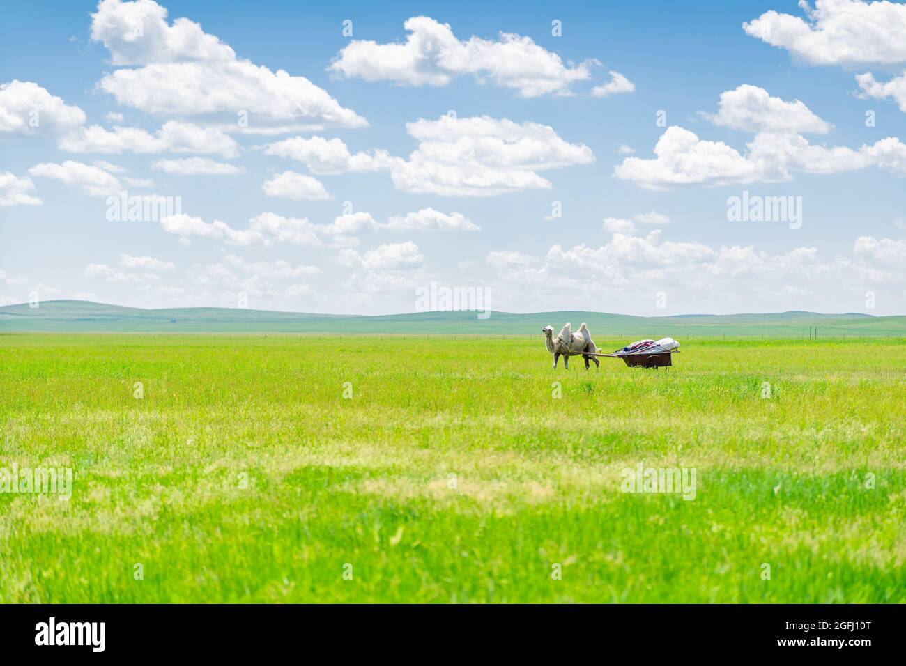 Hulunbuir pasture land hi-res stock photography and images - Alamy