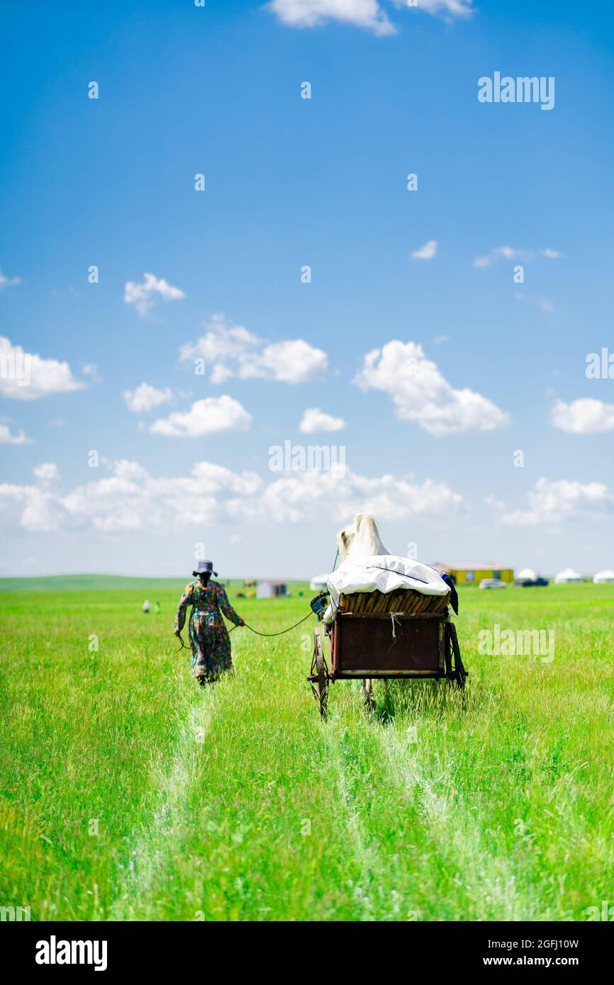 A Mongolian farm in the Hulunbuir grassland, Inner Mongolia, China ...