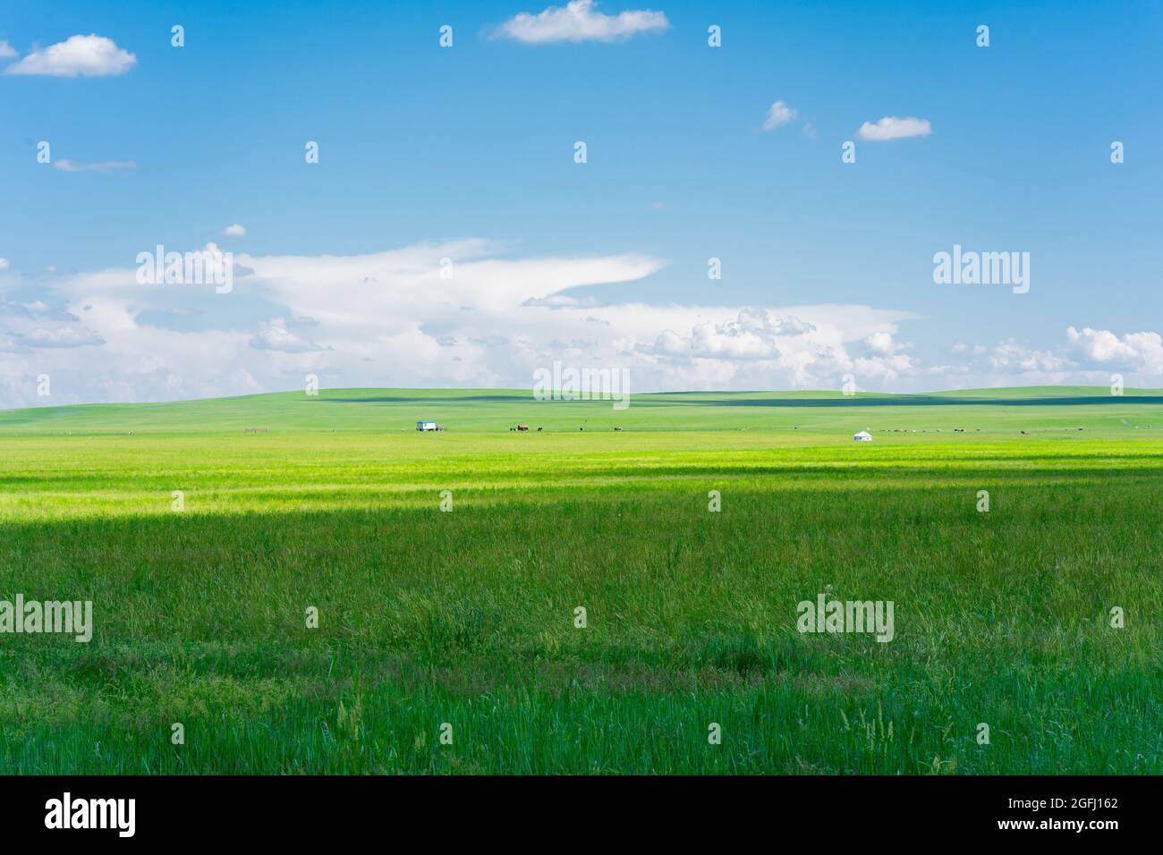 A Mongolian farm in the Hulunbuir grassland, Inner Mongolia, China ...