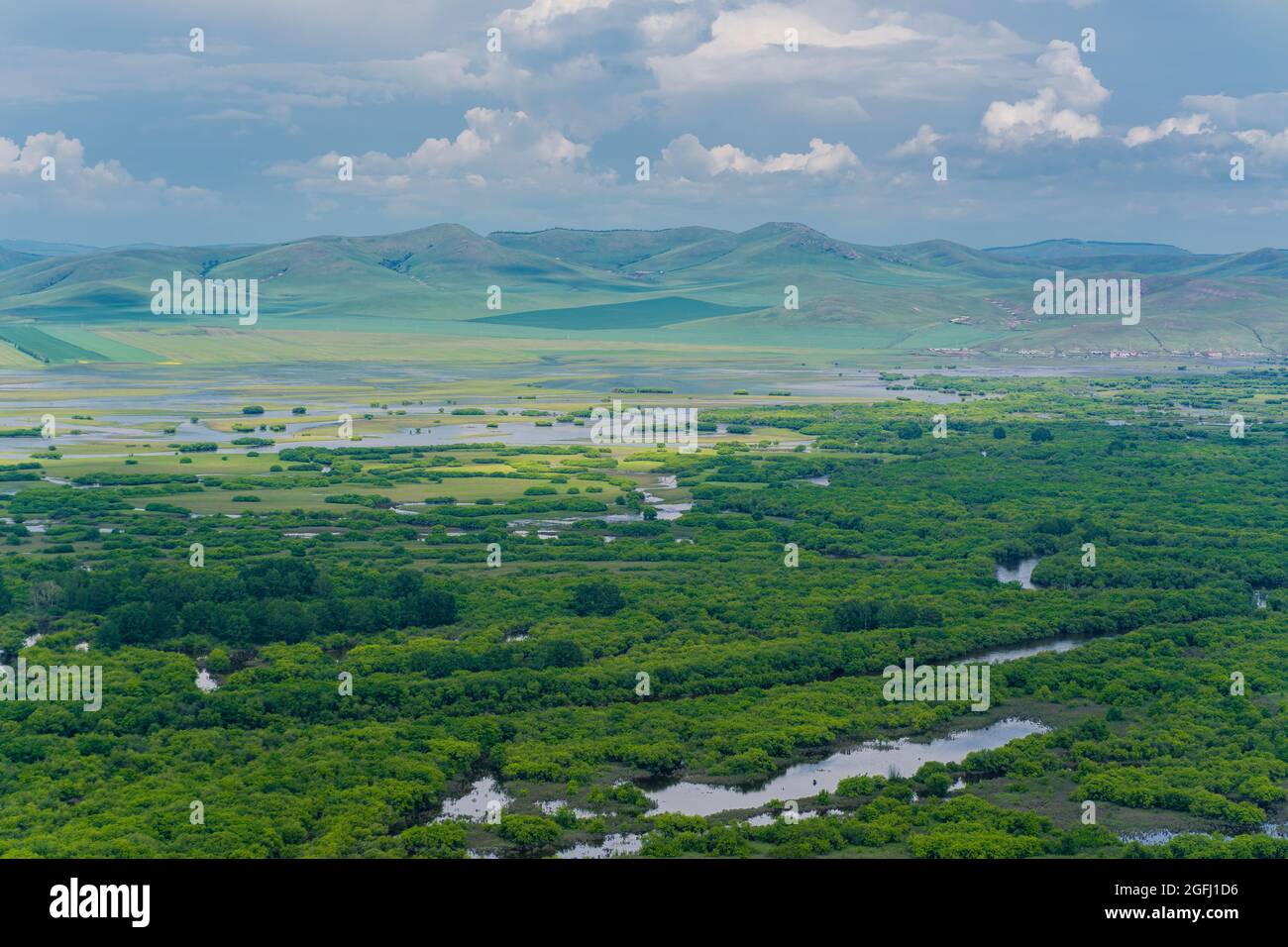 Summer view of a wetland in Hulun Buir, Inner Mongolia, China Stock ...