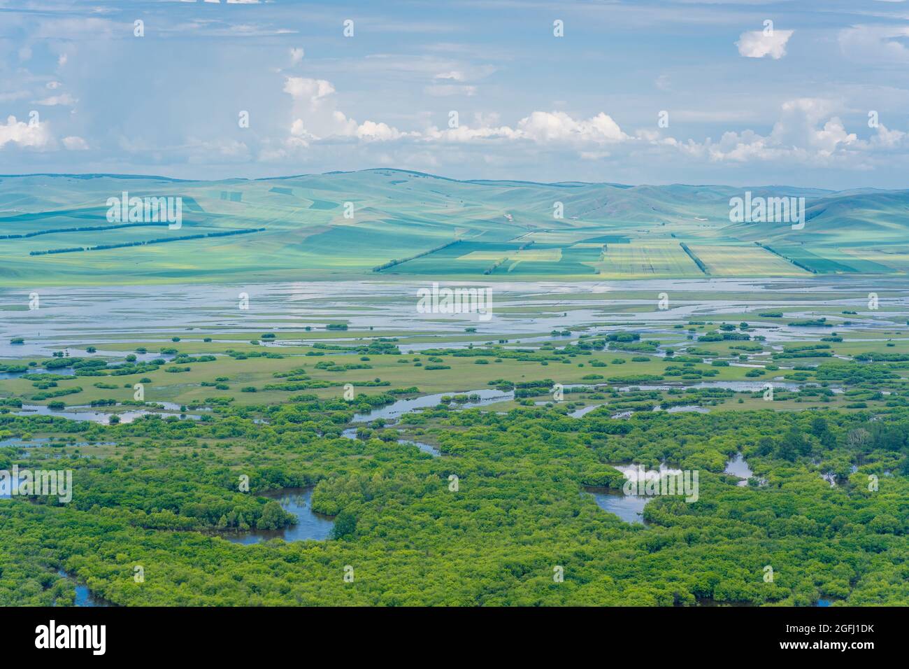 Summer view of a wetland in Hulun Buir, Inner Mongolia, China Stock ...