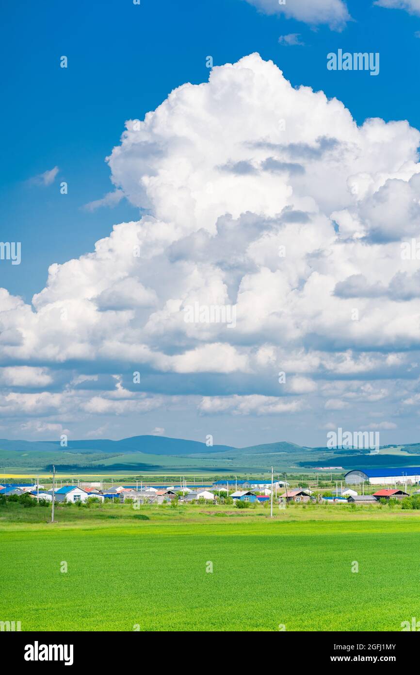 A Mongolian farm in the Hulunbuir grassland, Inner Mongolia, China ...