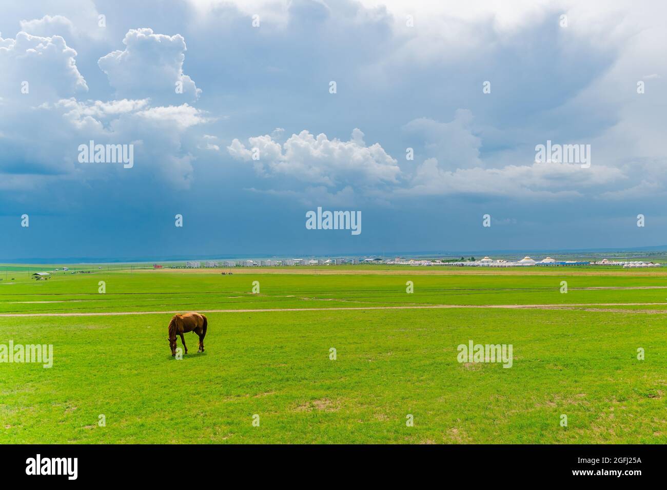 A Mongolian farm in the Hulunbuir grassland, Inner Mongolia, China ...