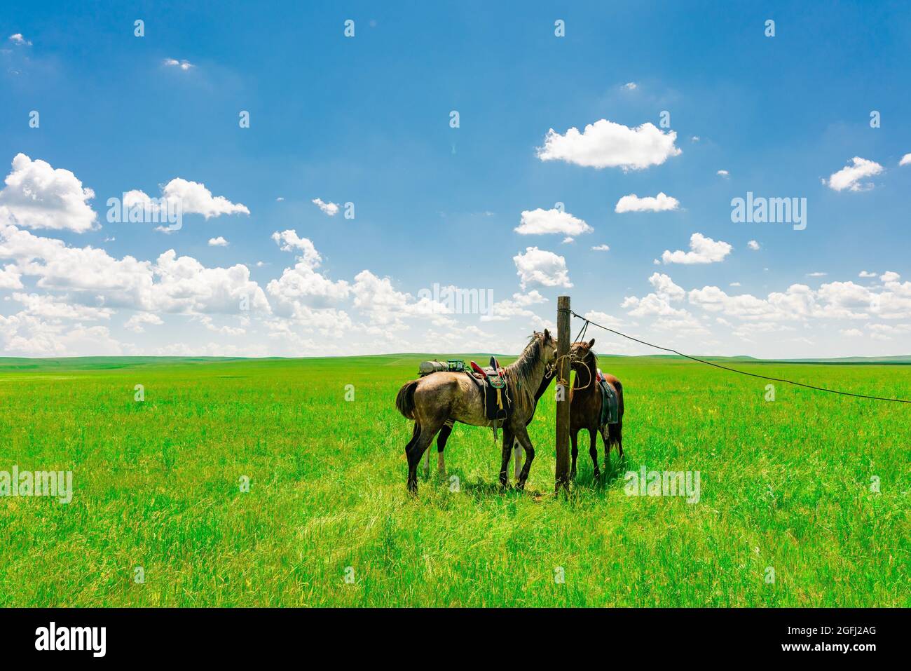 Hulunbuir pasture land hi-res stock photography and images - Alamy