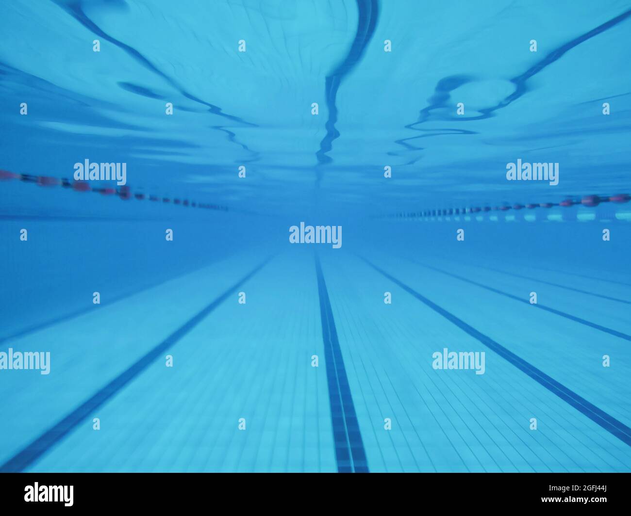 Swimming pool underwater Stock Photo - Alamy