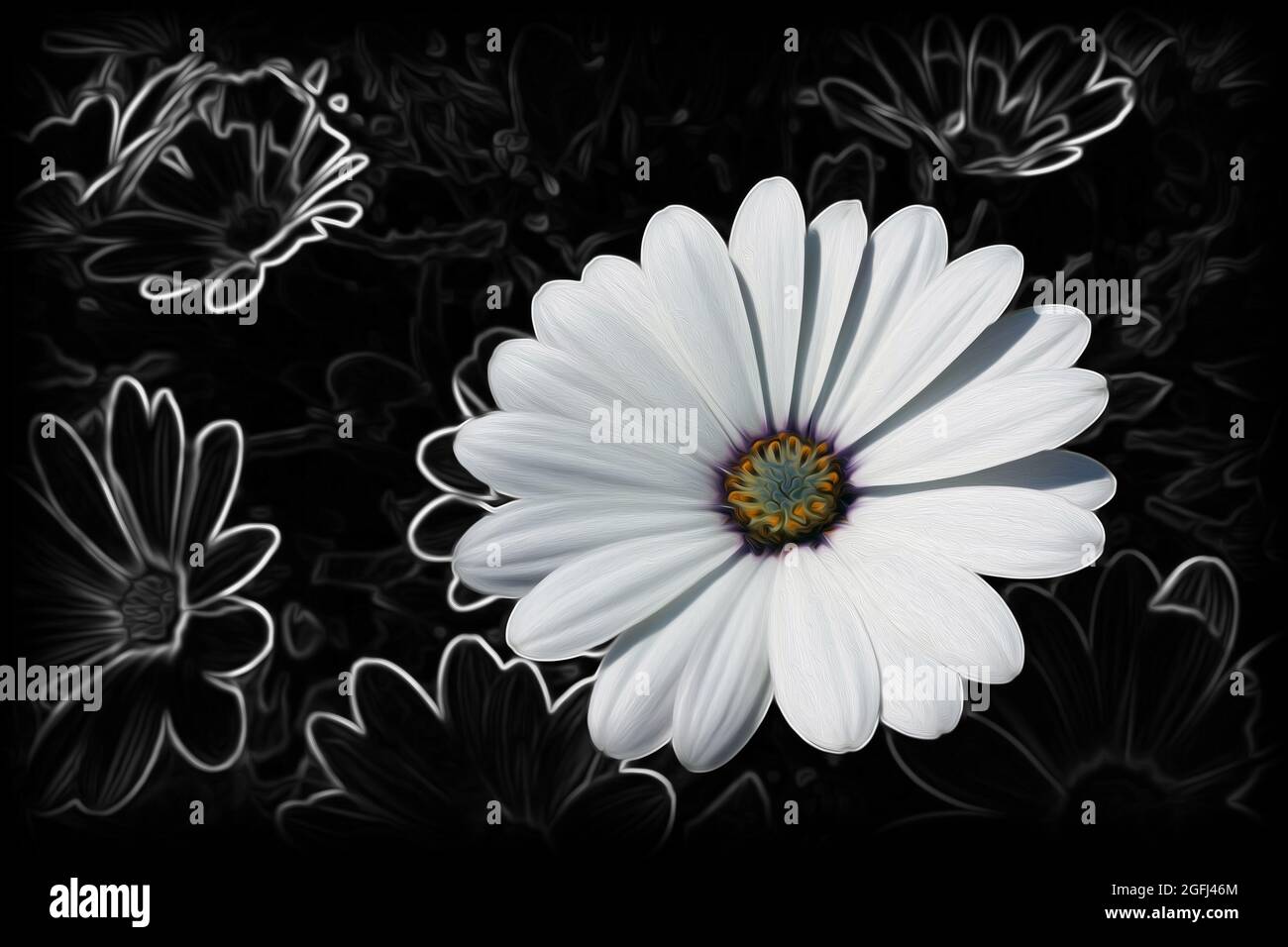 Gray color shades hi-res stock photography and images - Alamy