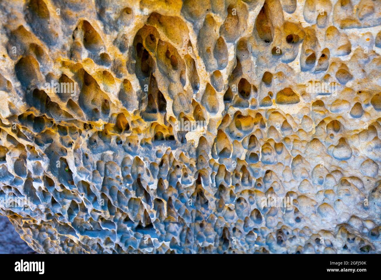 Weathered sandstone detail. Rock wall with small holes texture. Natural ...