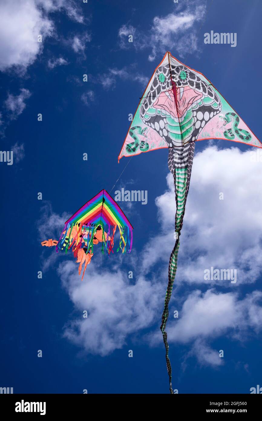 Baby kites hi-res stock photography and images - Alamy