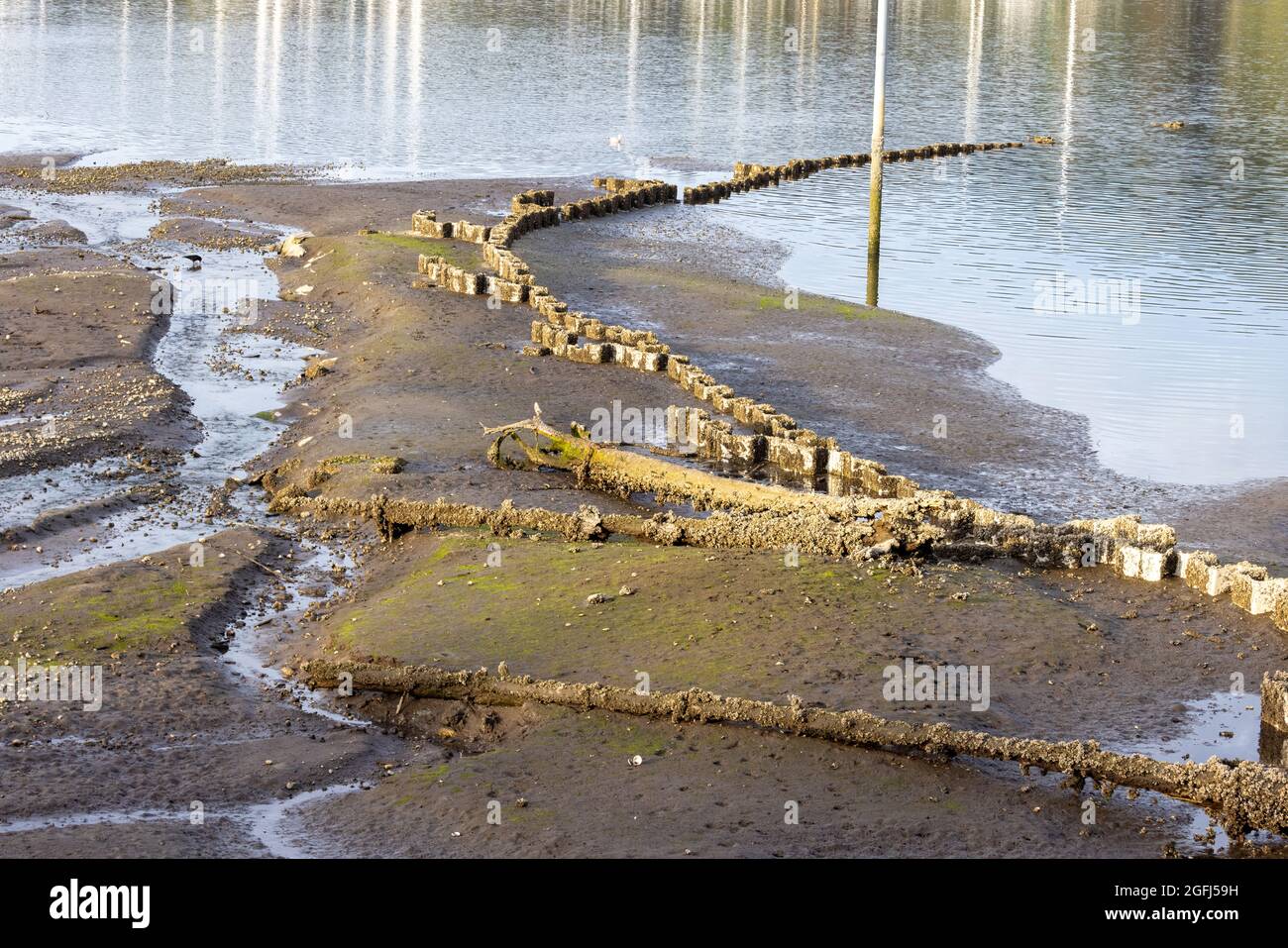 old sunken structures in a sea bed at low tide Stock Photo - Alamy