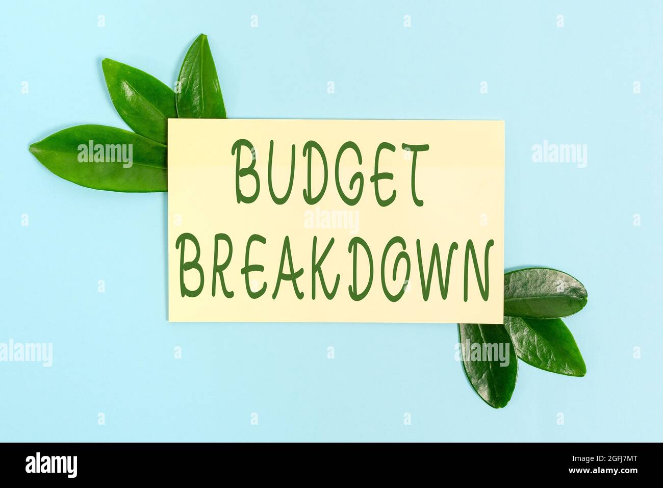 Text caption presenting Budget Breakdown. Business approach dividing ...