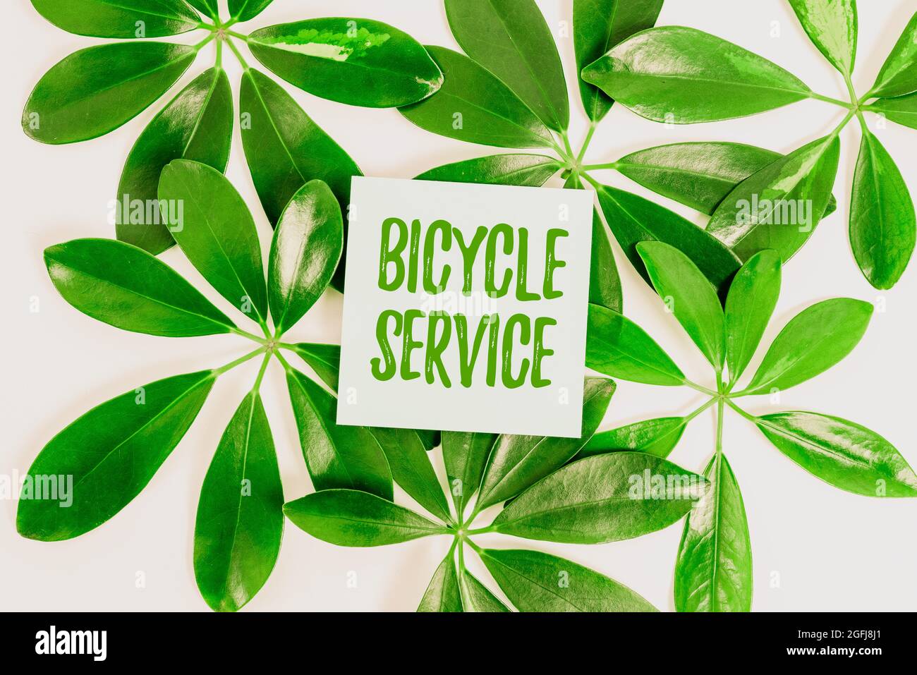 Inspiration showing sign Bicycle Service. Internet Concept offering ...
