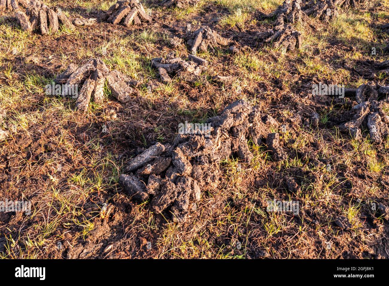 Bagging peat hi-res stock photography and images - Alamy