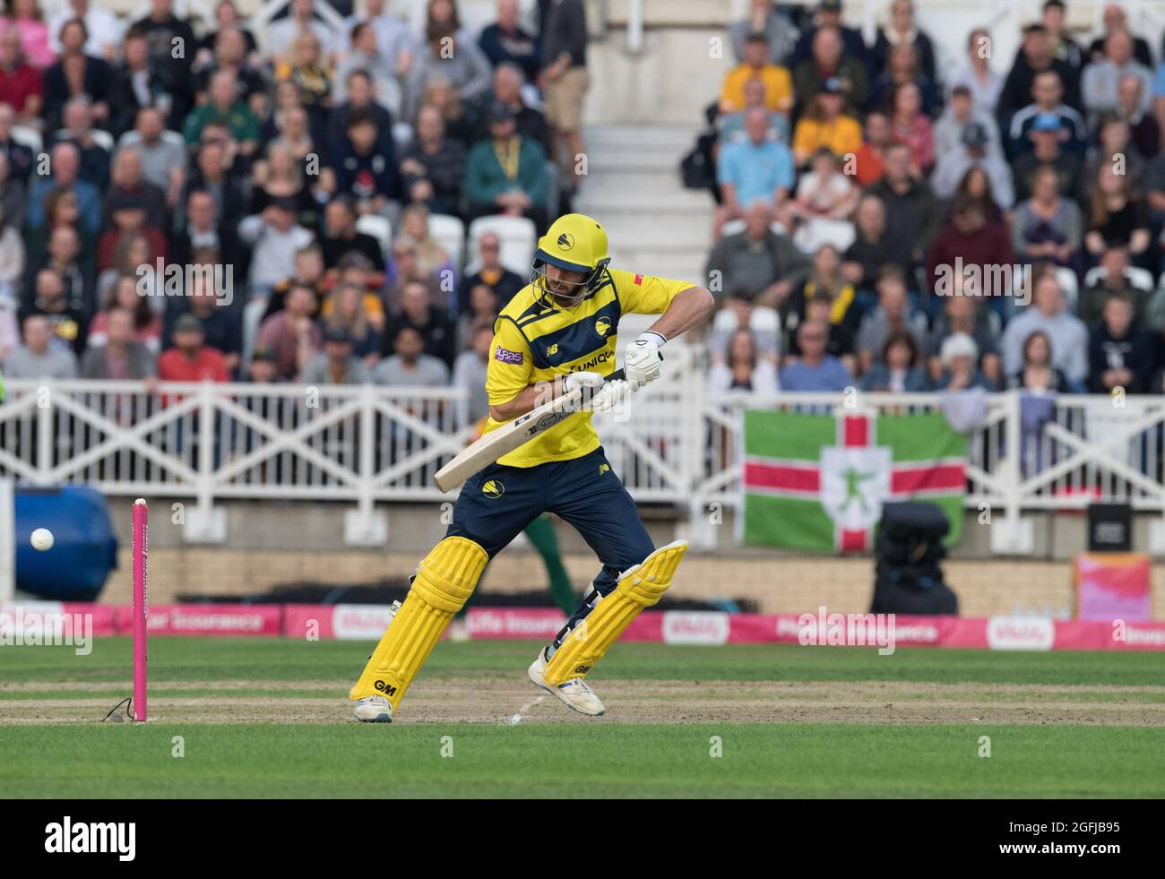 Cricket tom hi-res stock photography and images - Alamy