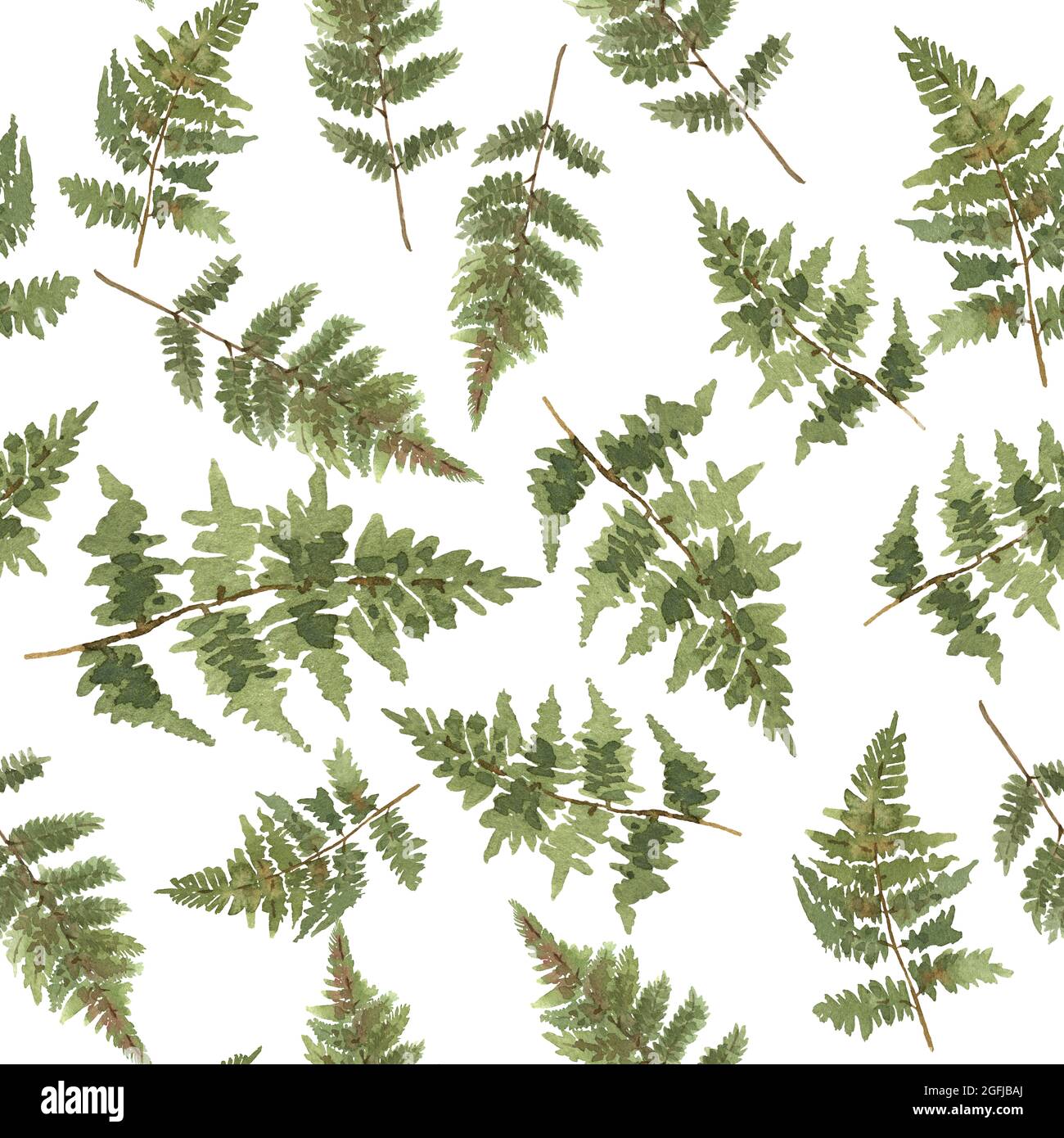 Watercolor leaves of ferns. Seamless pattern with Hand painted forest plants. Isolated floral ...