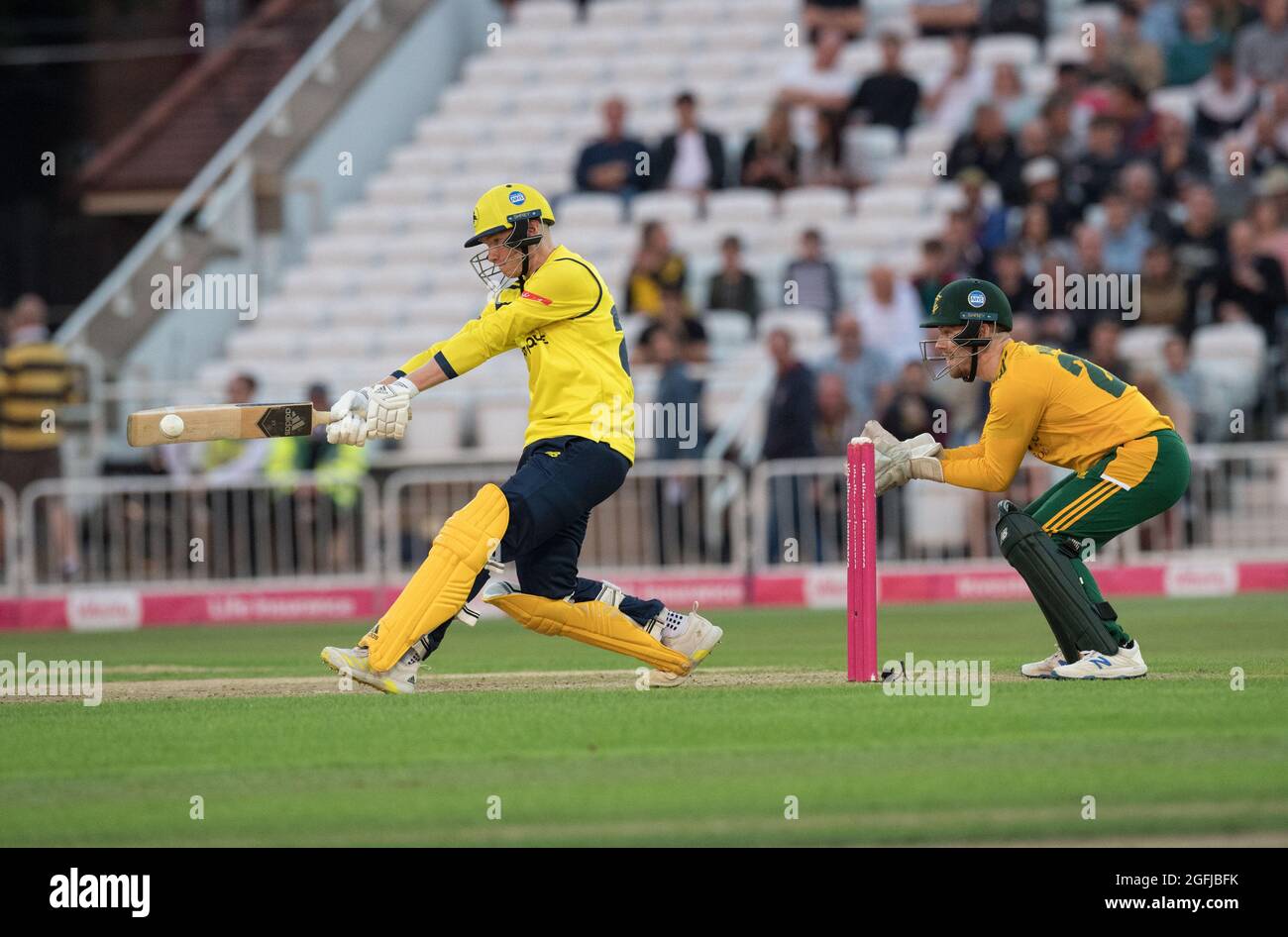 Cricket tom hi-res stock photography and images - Alamy