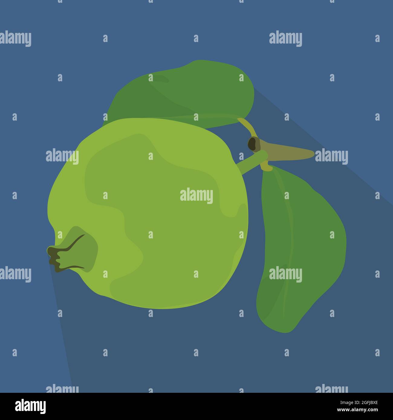 Guava Fruit icon Stock Vector Image & Art - Alamy