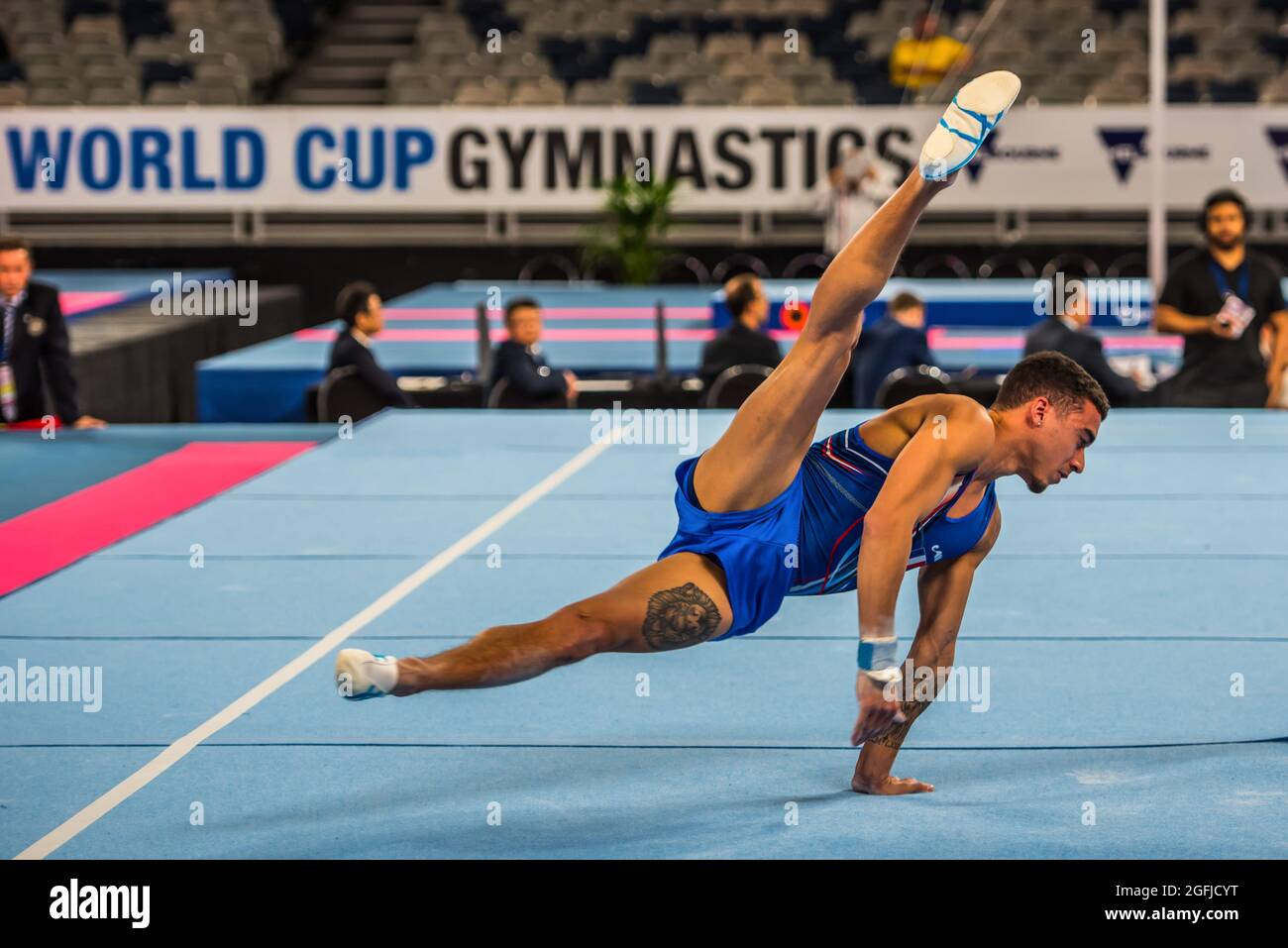 Frasca loris hi-res stock photography and images - Alamy