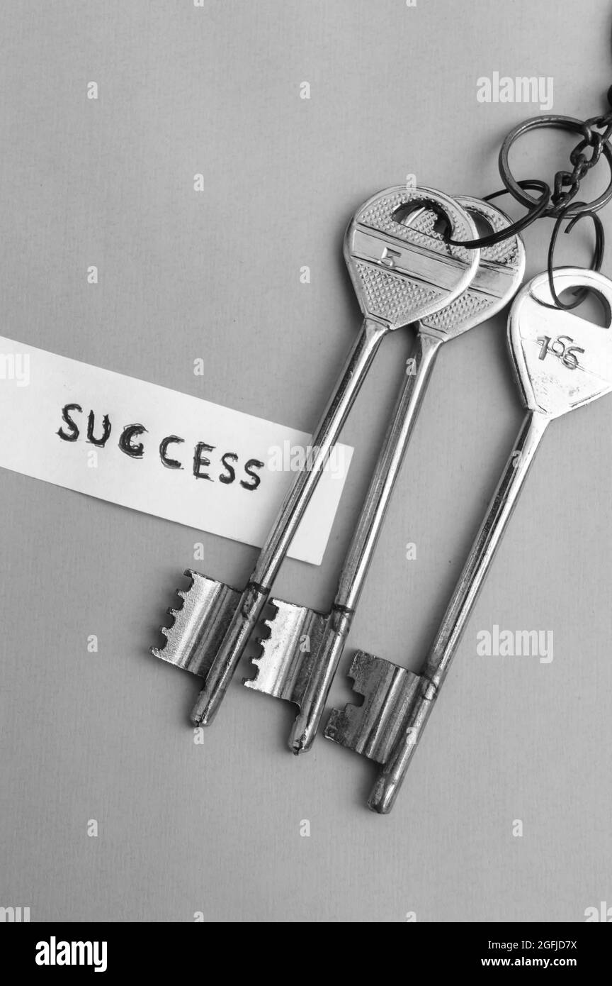 Key to success. Keys to Success in Business. A conceptual background ...
