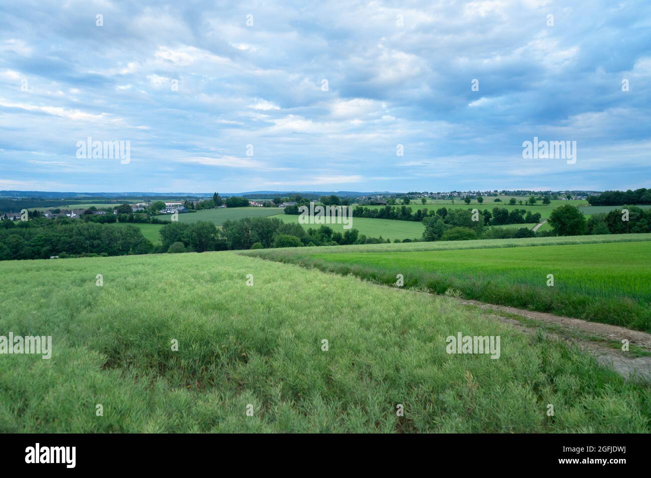 The beautiful natural landscape in the Eifel Germany. A beautiful ...