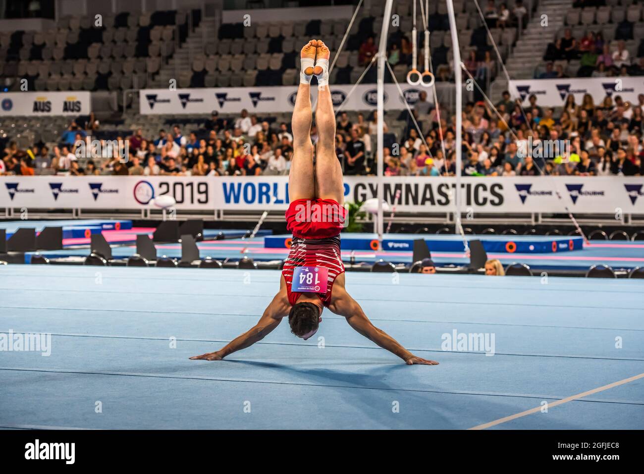2014 Usa Turkey Australia High Resolution Stock Photography and Images ...