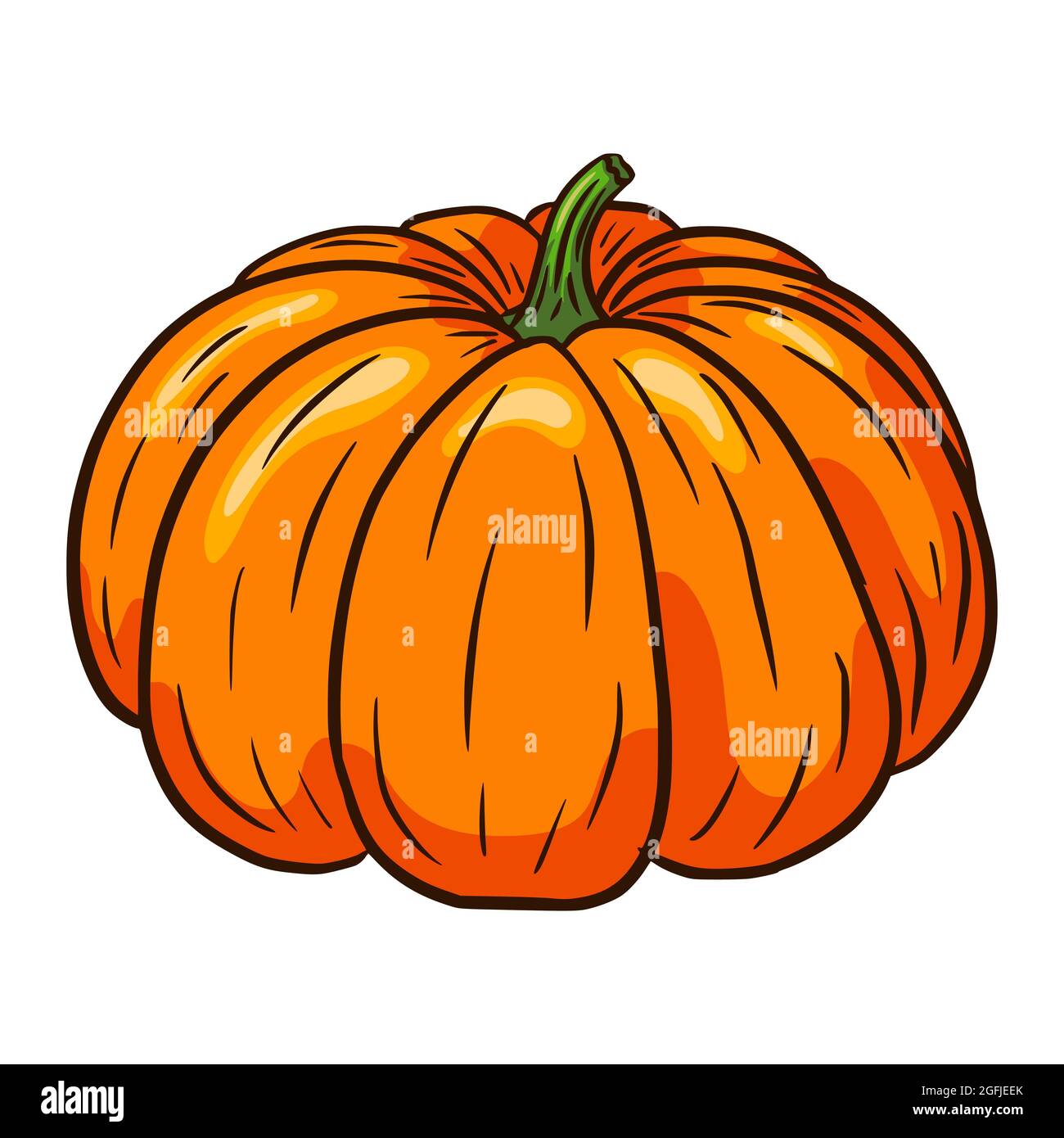 Fairytale Squash Illustration. Autumn gourd Icon. Ripe pumpkin sketch ...