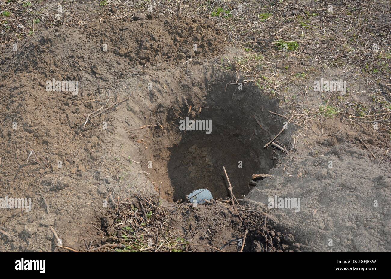 Tree fertilization: adding chemical mineral fertilizers of Nitrogen ...