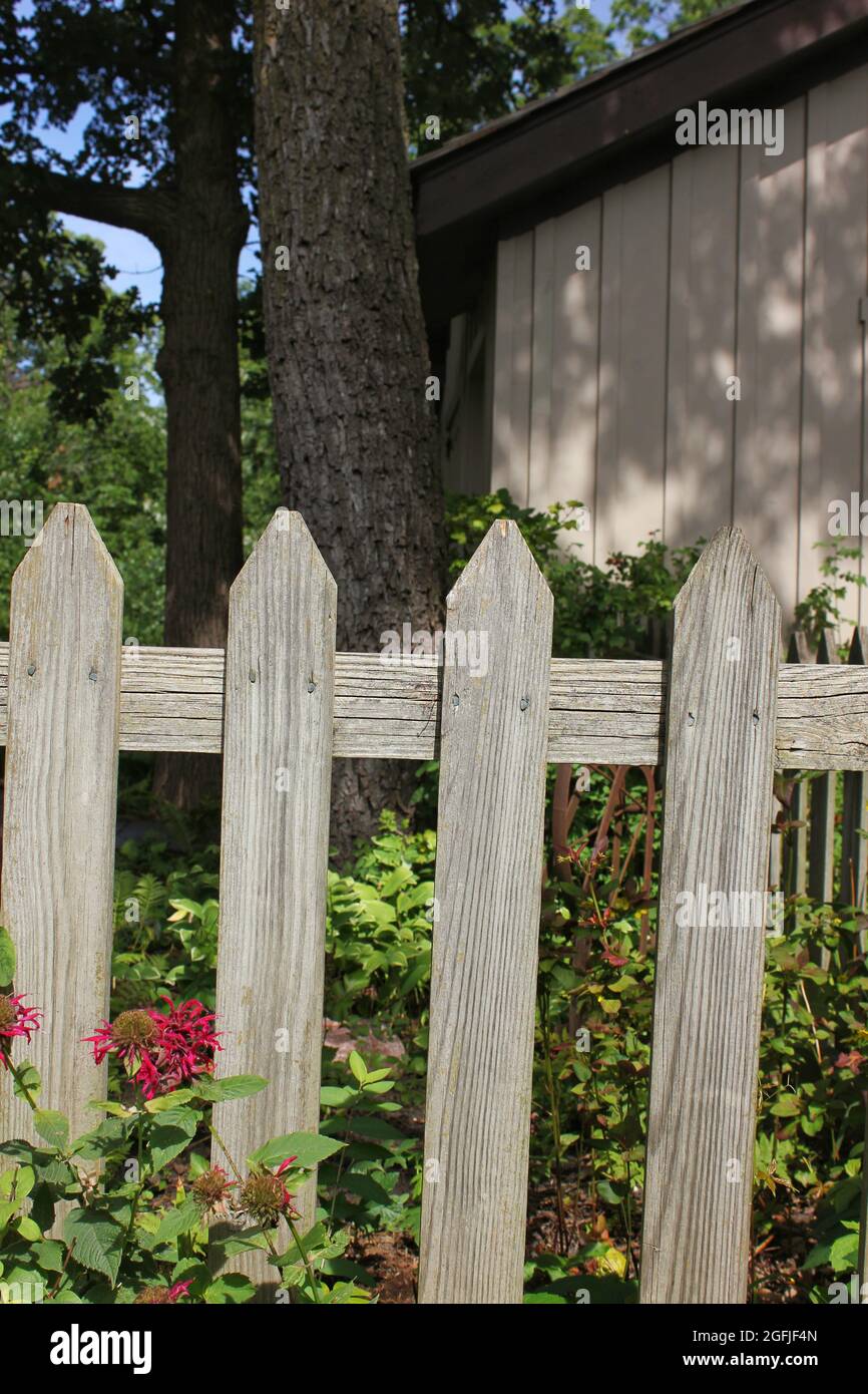 Traditional wooden fence surrounding the kitchen garden in the summer ...